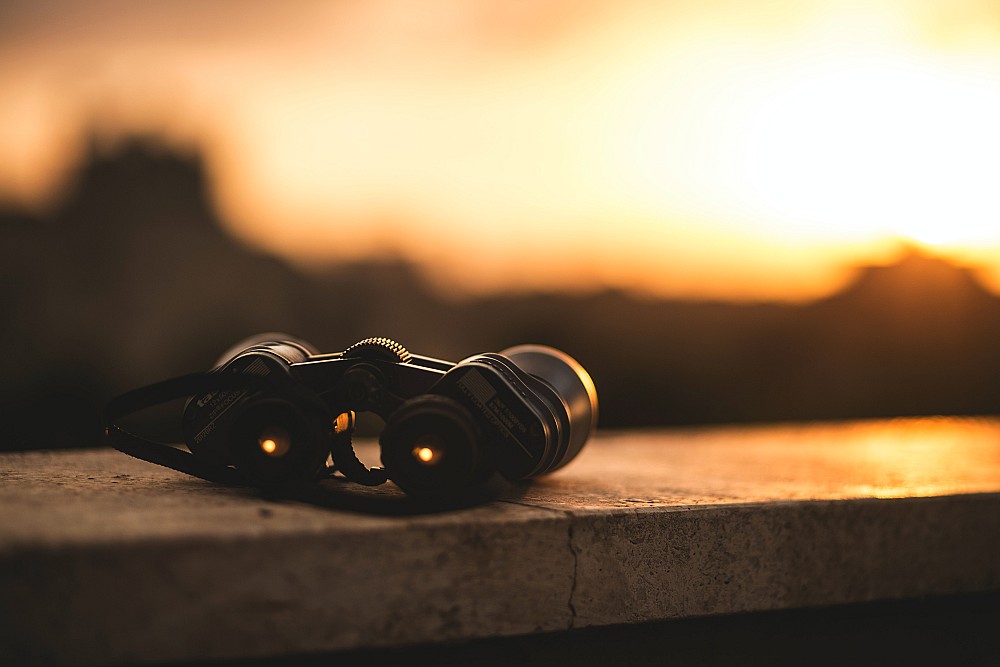 Understanding the Role of a Member at Large in Management